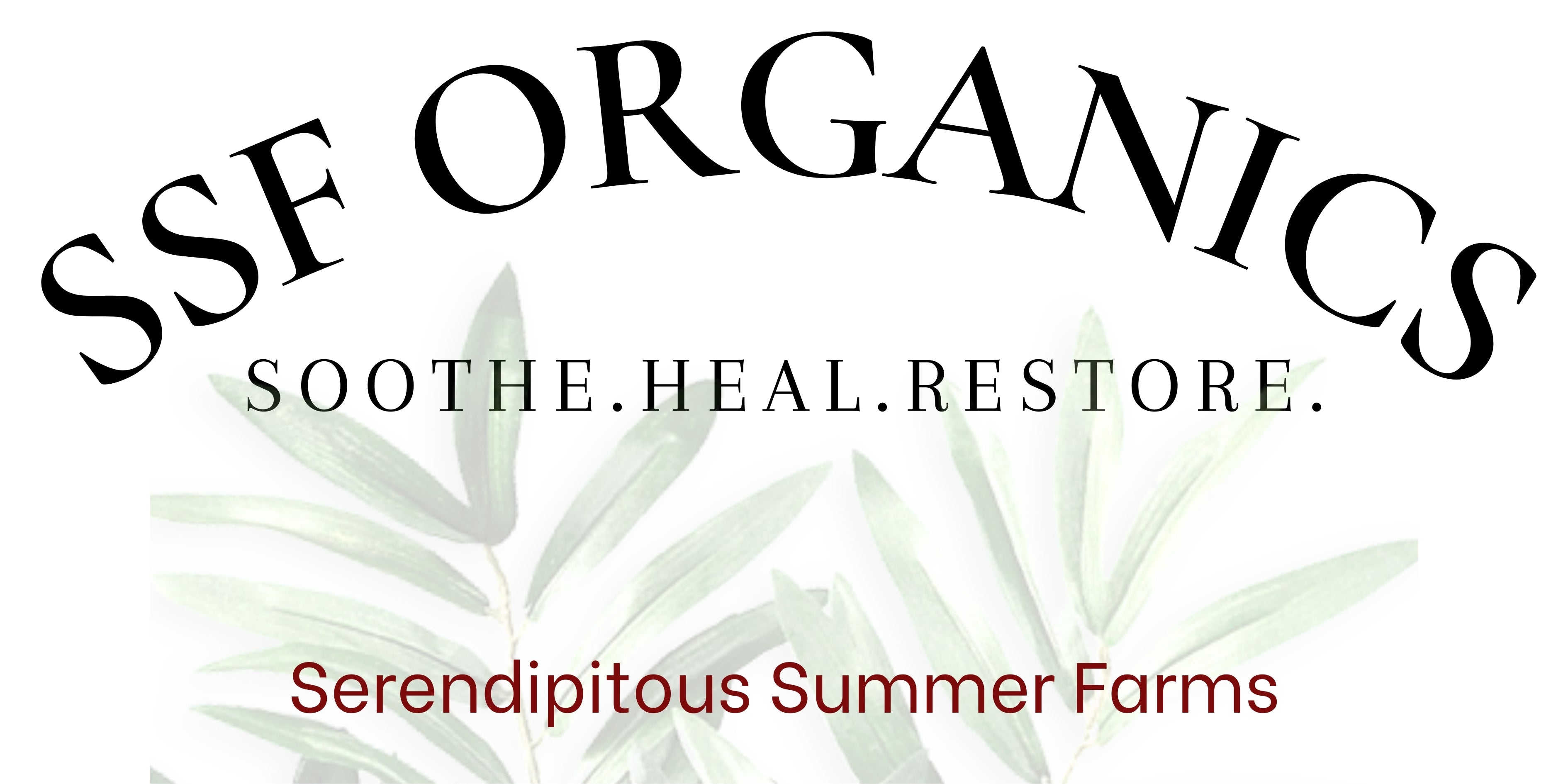 Healing, In the Palm of your Hands. Organic Topical Recovery Ointments ...